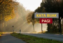42+ Kata Bijak Tentang Pagi, Awali Harimu dengan Semangat | Alokata