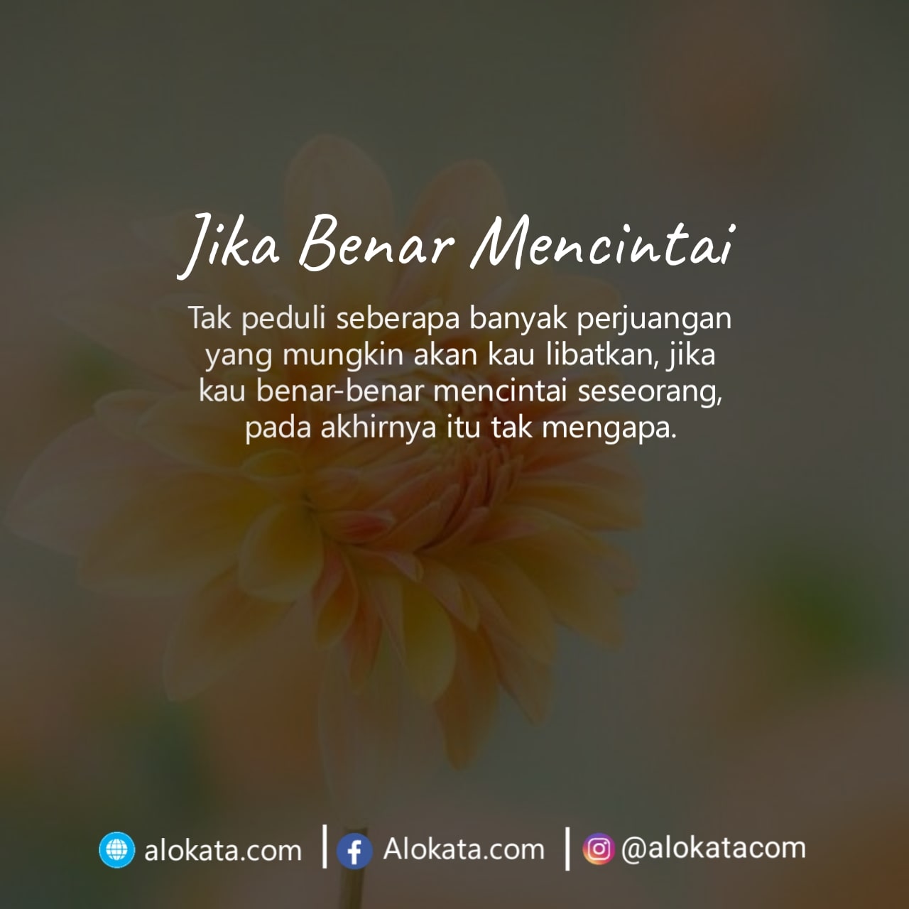 74+ Kata Bijak Tentang Cinta Paling Romantis dan Inspiratif