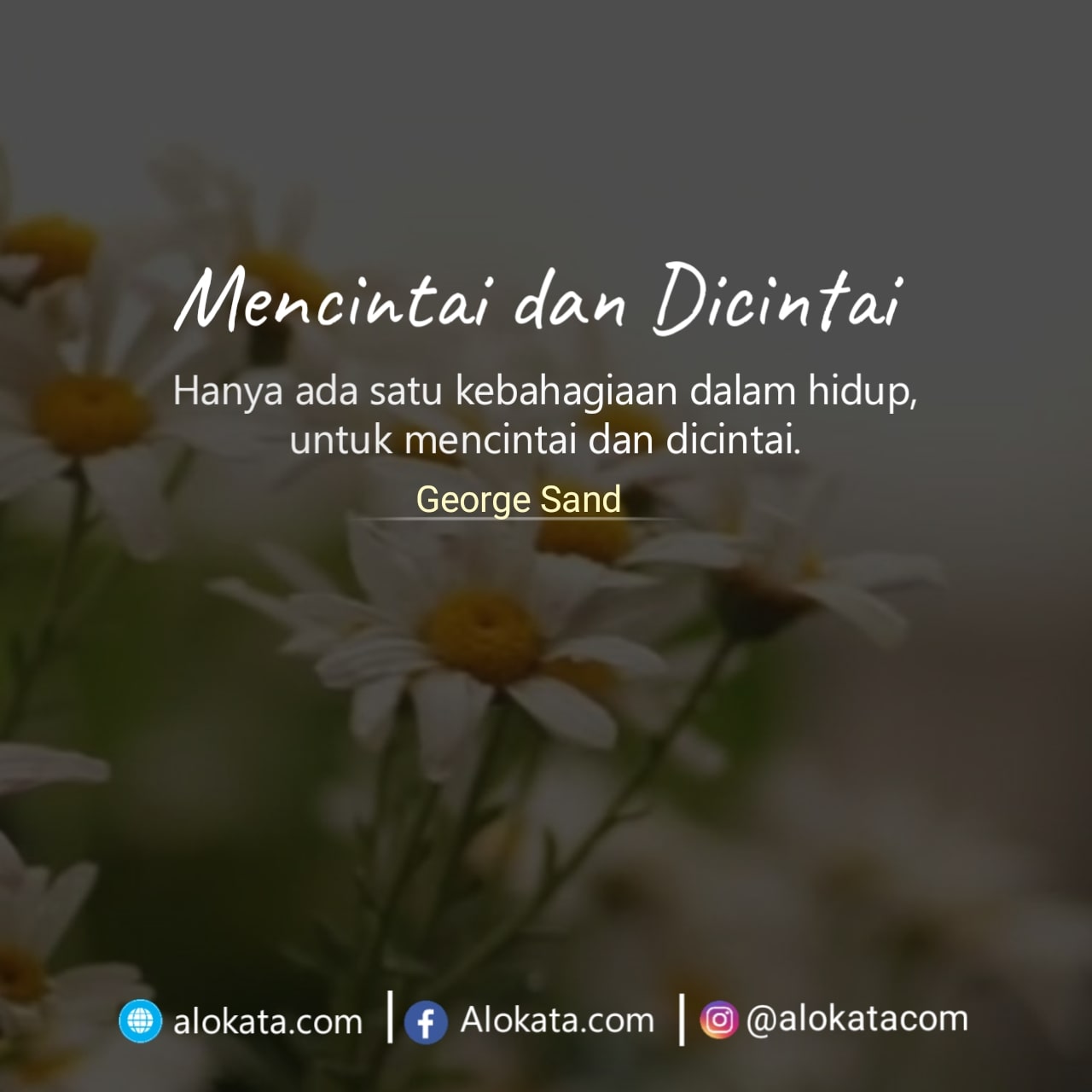 74+ Kata Bijak Tentang Cinta Paling Romantis dan Inspiratif