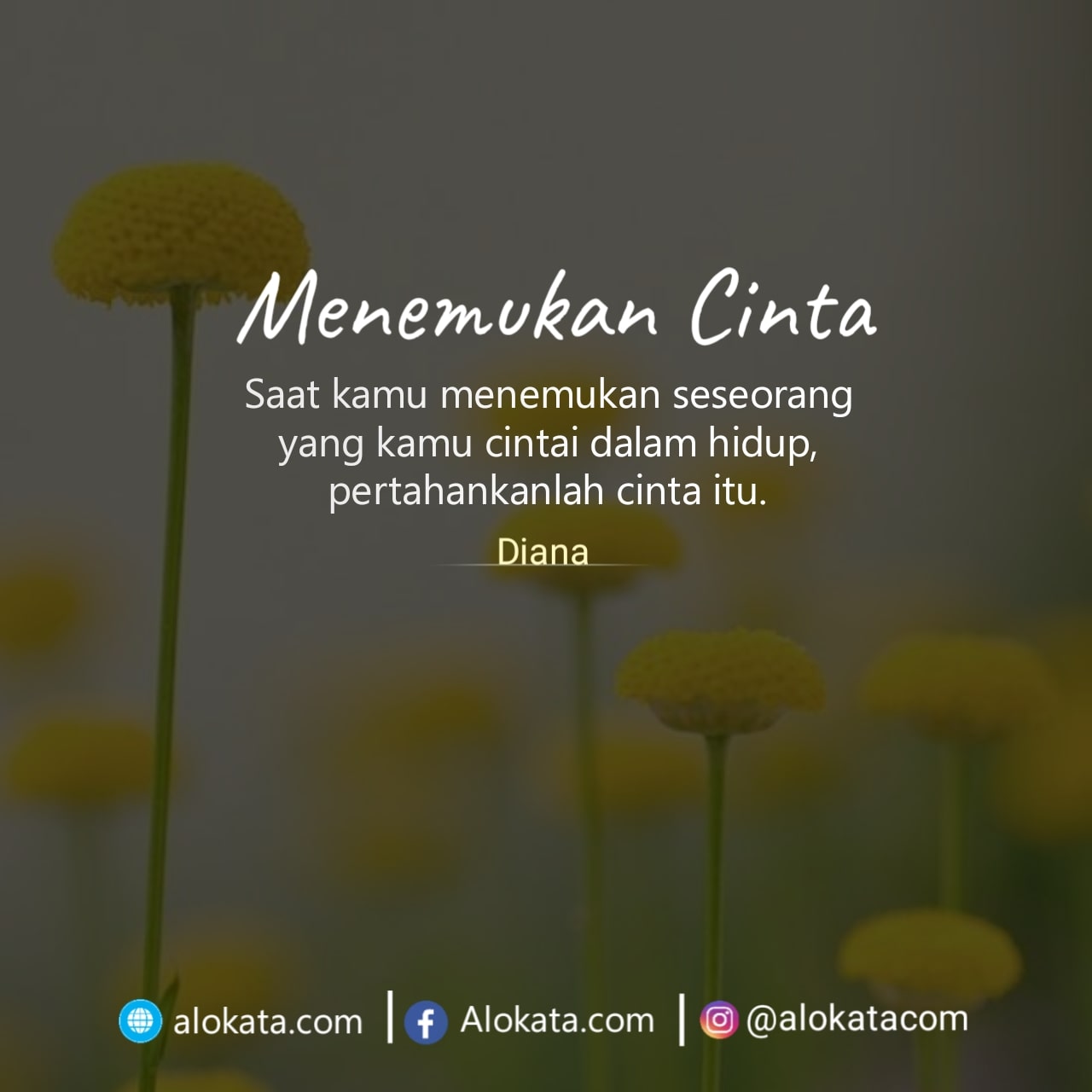 74+ Kata Bijak Tentang Cinta Paling Romantis dan Inspiratif