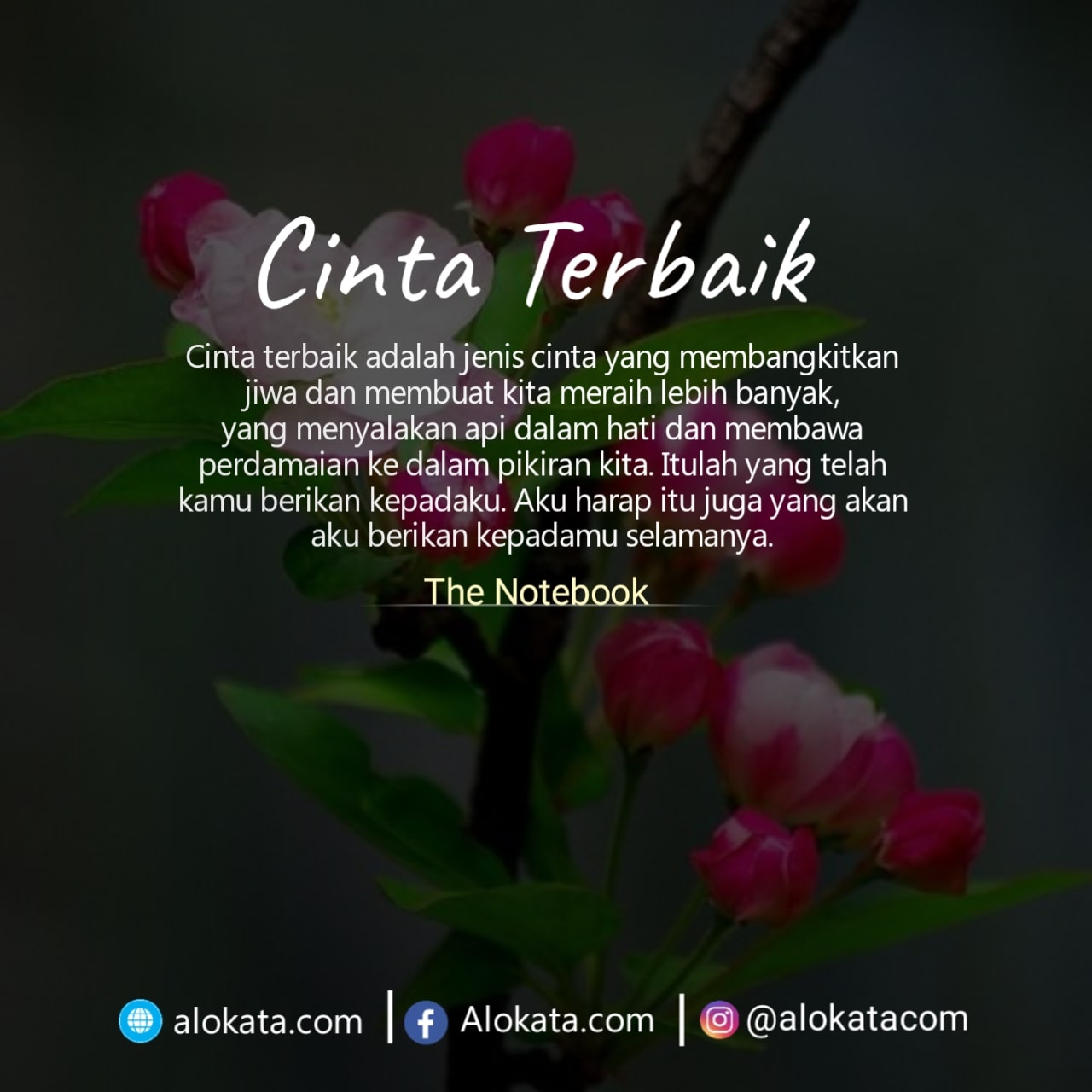 74+ Kata Bijak Tentang Cinta Paling Romantis dan Inspiratif