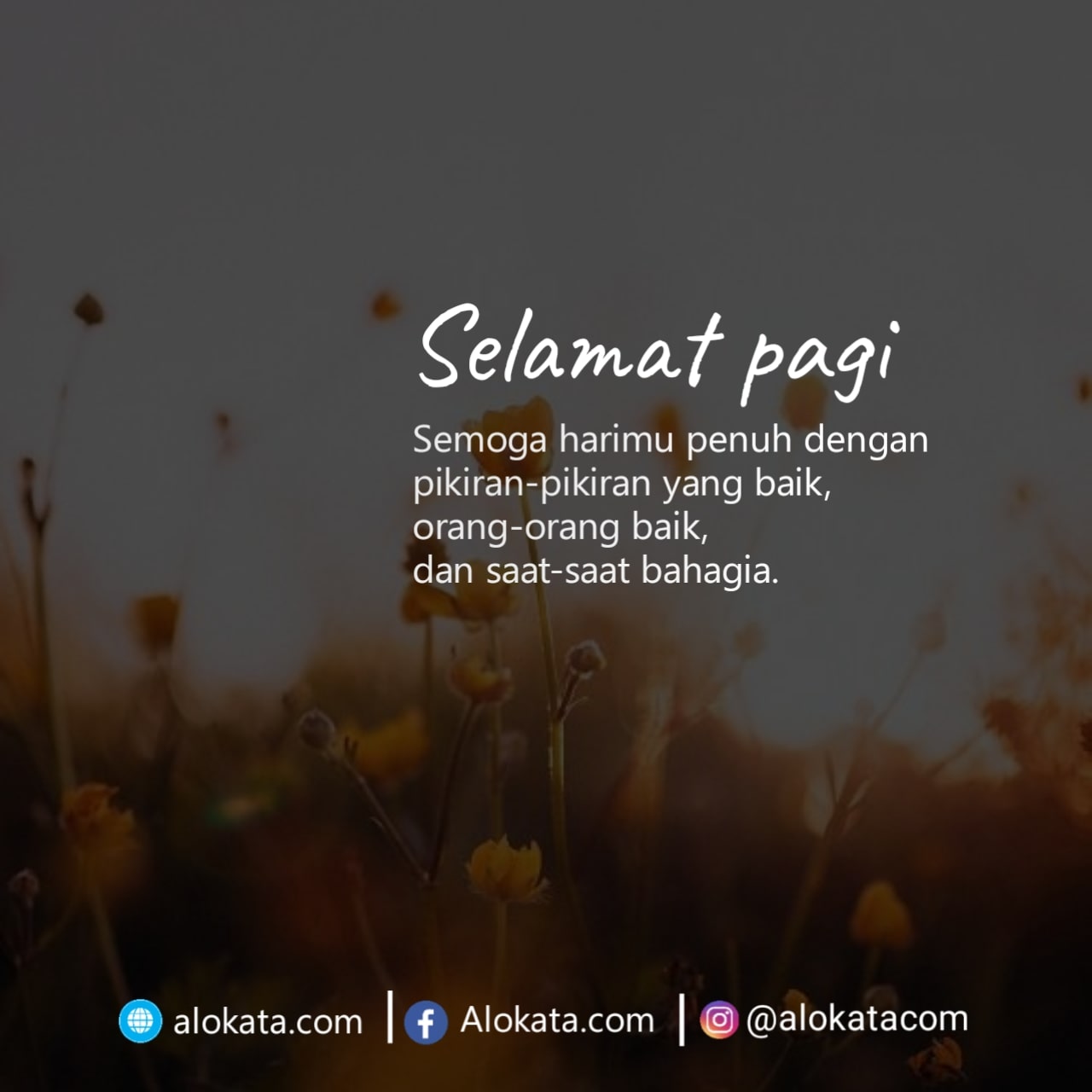 42+ Kata Bijak Tentang Pagi, Awali Harimu dengan Semangat | Alokata.Com