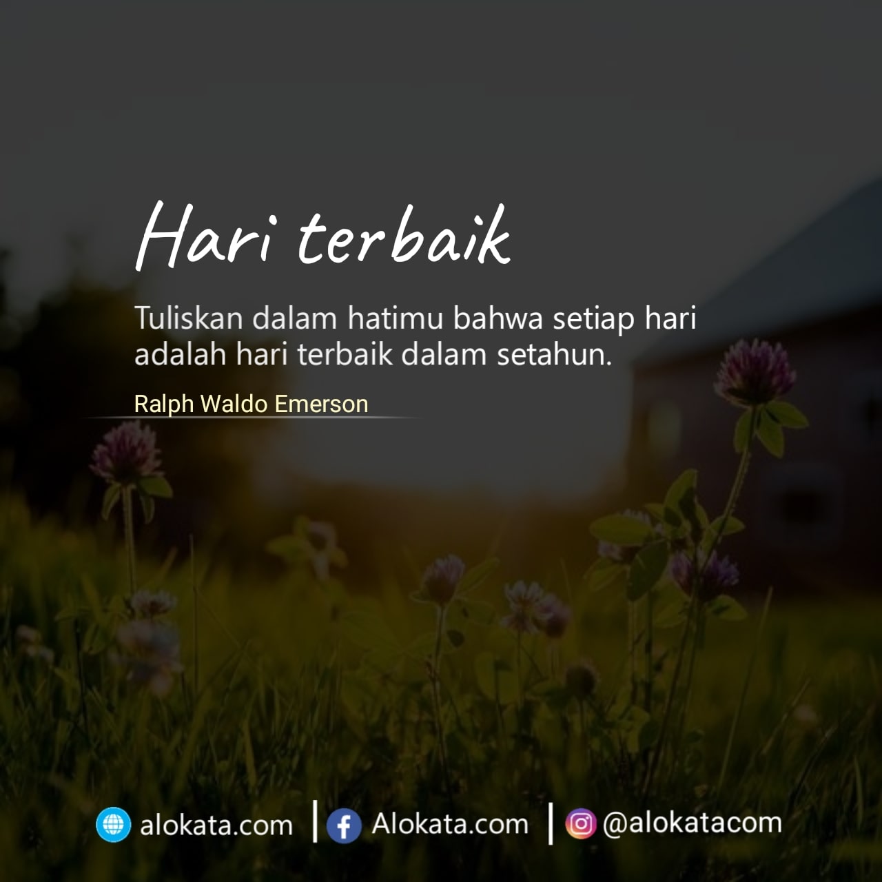 42+ Kata Bijak Tentang Pagi, Awali Harimu dengan Semangat | Alokata.Com